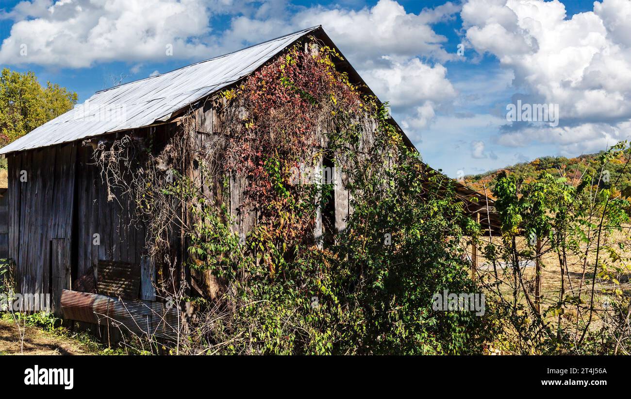 Country landscape with old weathered barn Stock Photo - Alamy