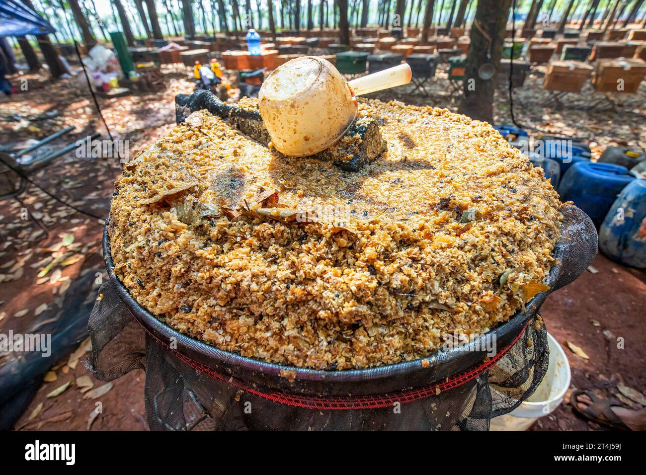 Swarms of bees at the hive entrance in a busy honey bee, flying around ...