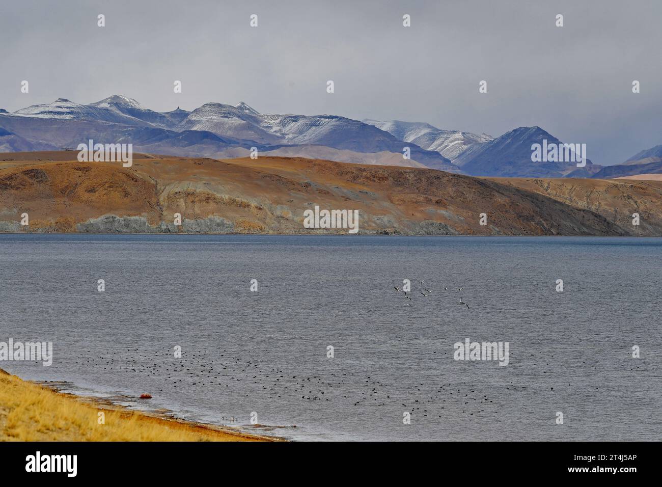 Ngari. 29th Oct, 2023. This photo taken on Oct. 29, 2023 shows the ...