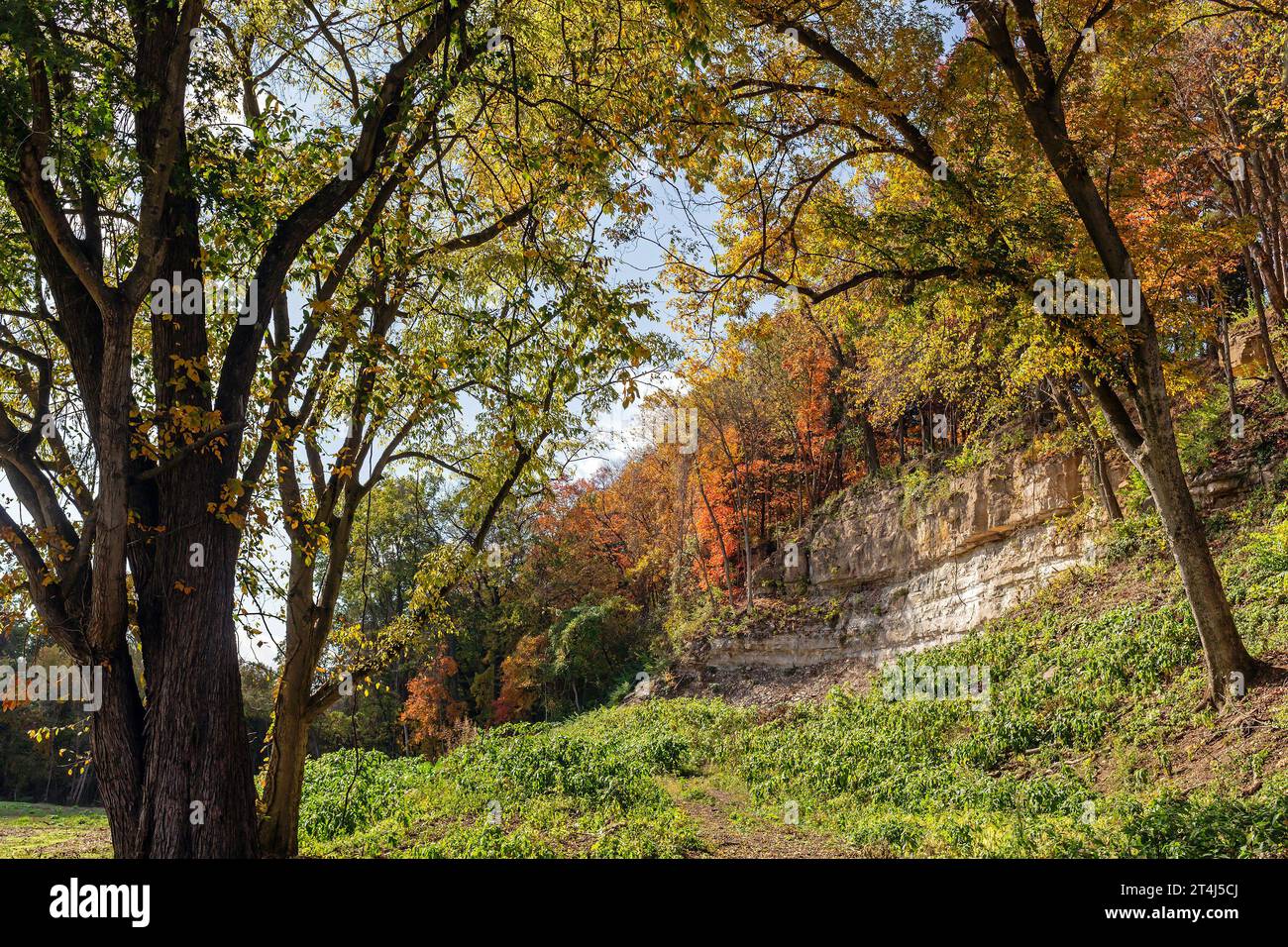 scenic autumn landscape with colorful foliage Stock Photo - Alamy