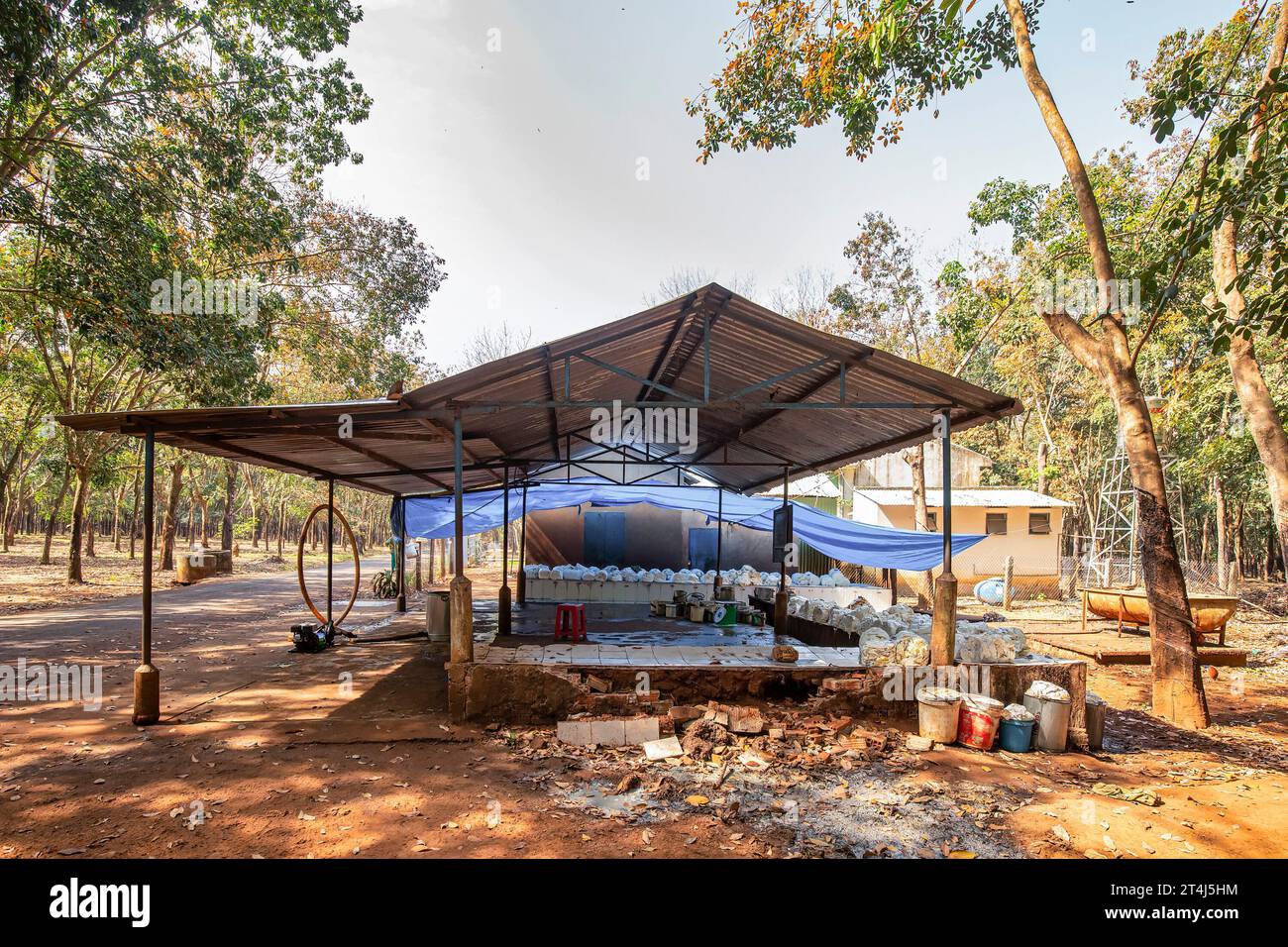 Pile of white rubber cup lumps placed next to each other for industrial ...