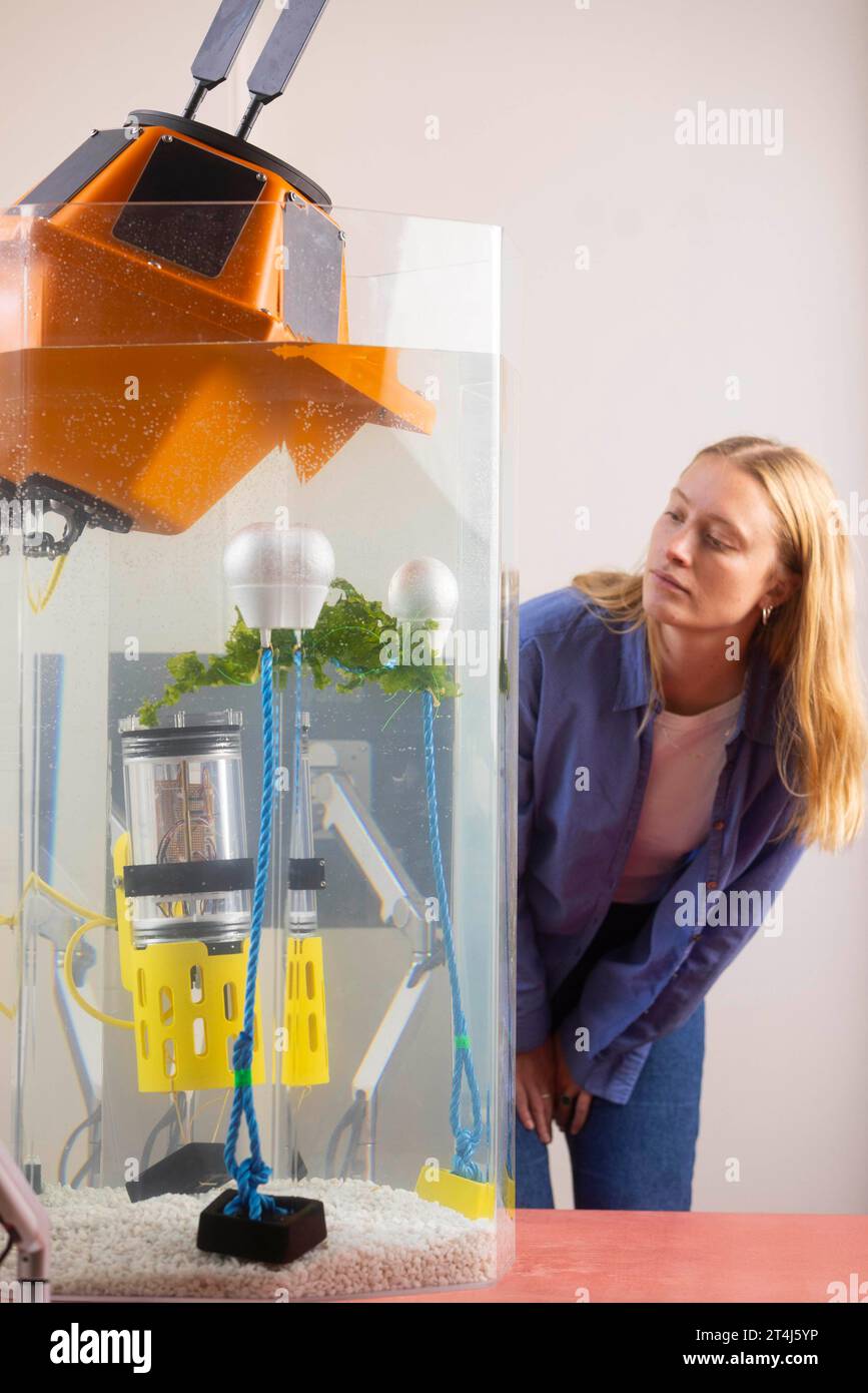 EDITORIAL USE ONLY Samudra Oceans, scaling seaweed farming with ...