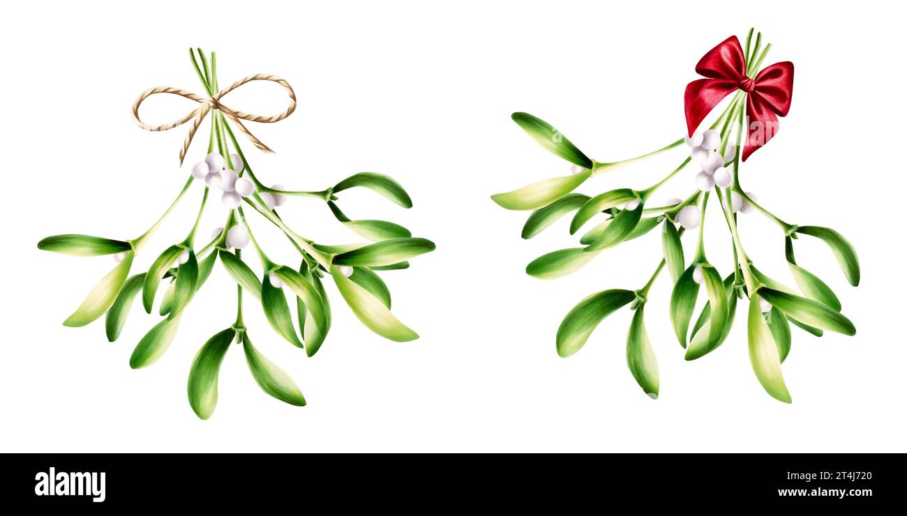 Watercolor christmas set of green mistletoes with twine and red satin ...