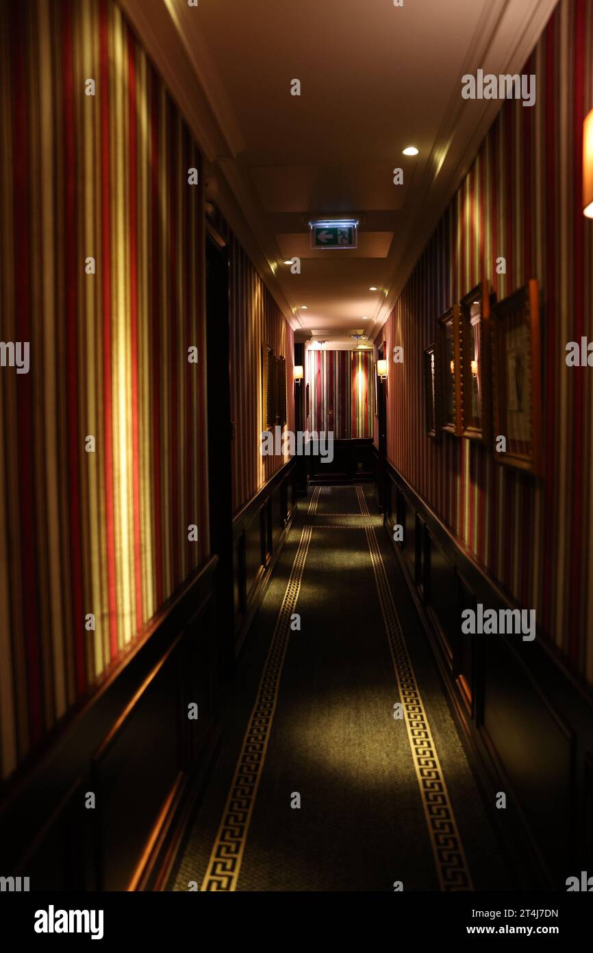 A modern, sleek hallway featuring black metal railings and vertical ...