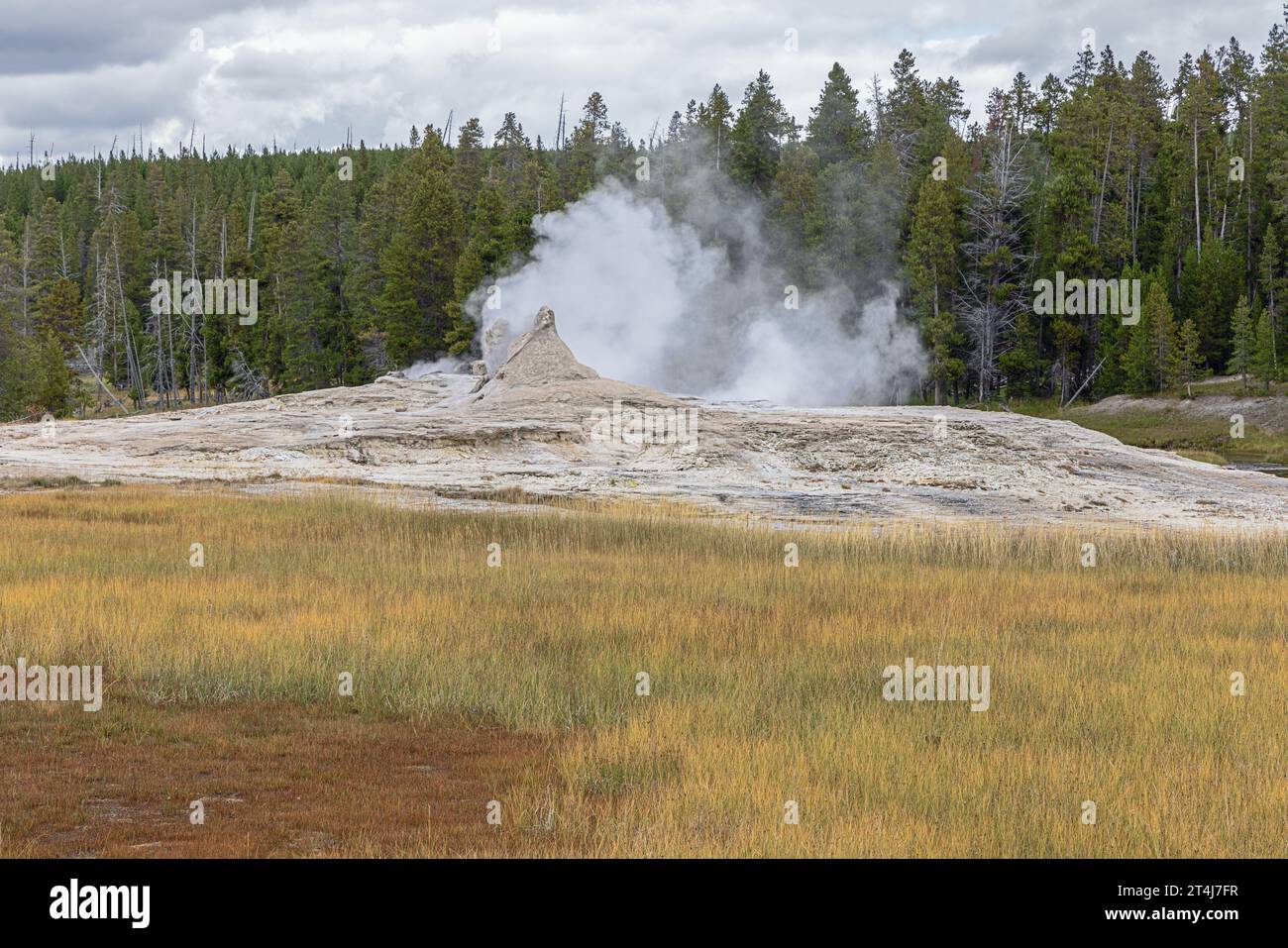 Distant view of Giant Geyser in the Upper Geyser Basin in Yellowstone ...