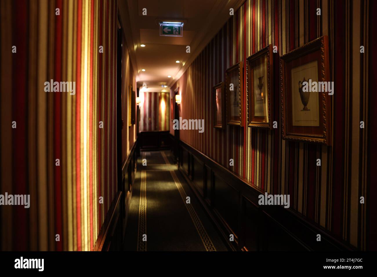 A modern, sleek hallway featuring black metal railings and vertical ...