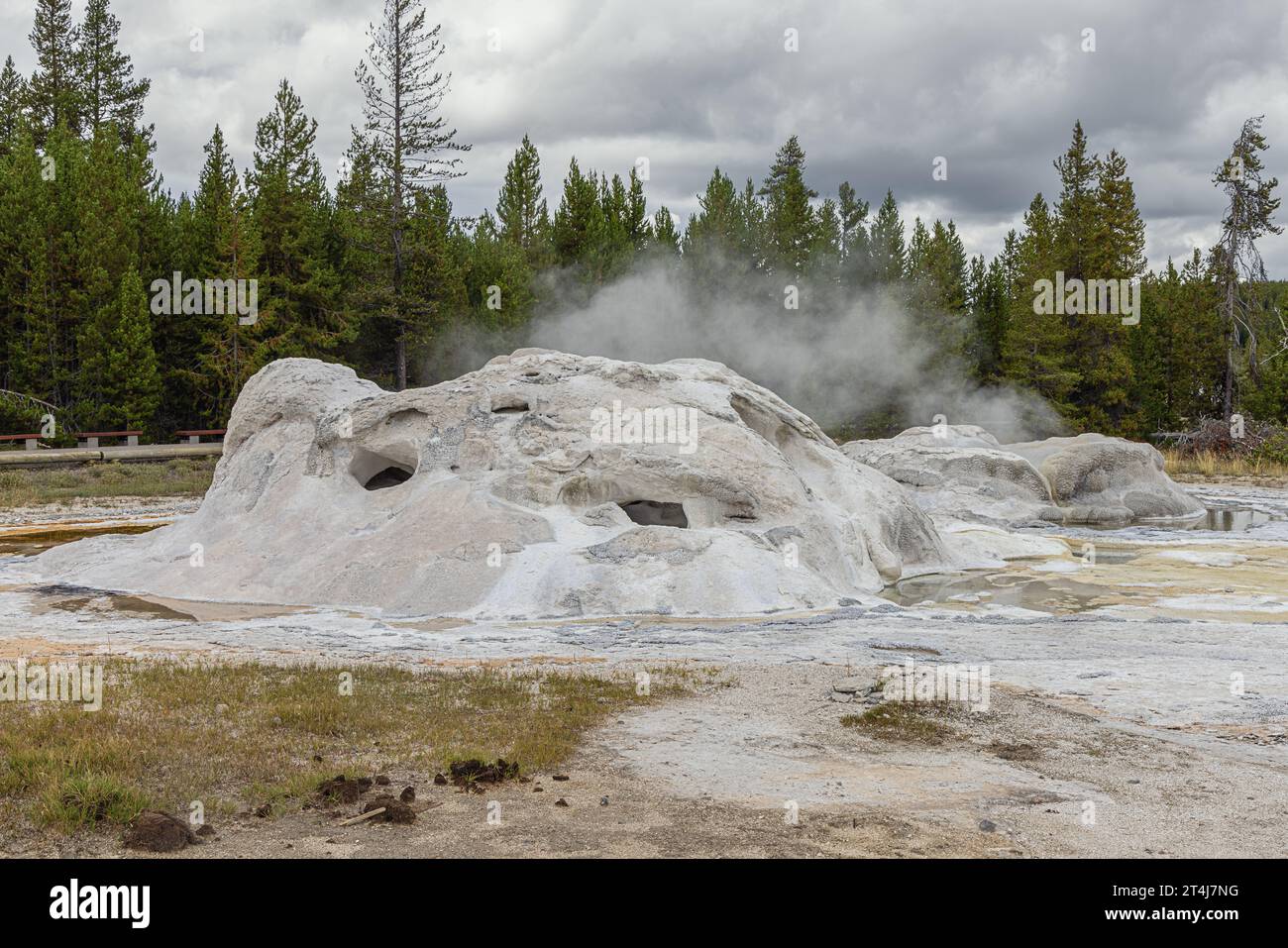 Steam coming out of Grotto Geyser in the Upper Geyser Basin in ...