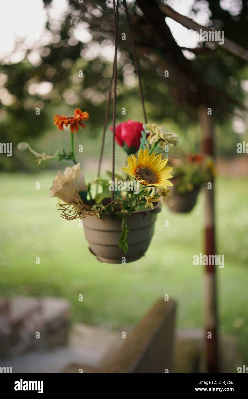 Flower box hanger hi-res stock photography and images - Alamy