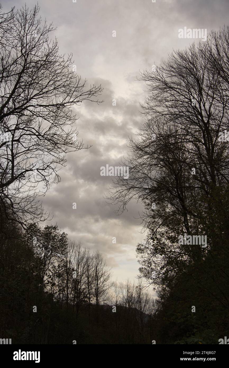 Suspense drama hi-res stock photography and images - Alamy