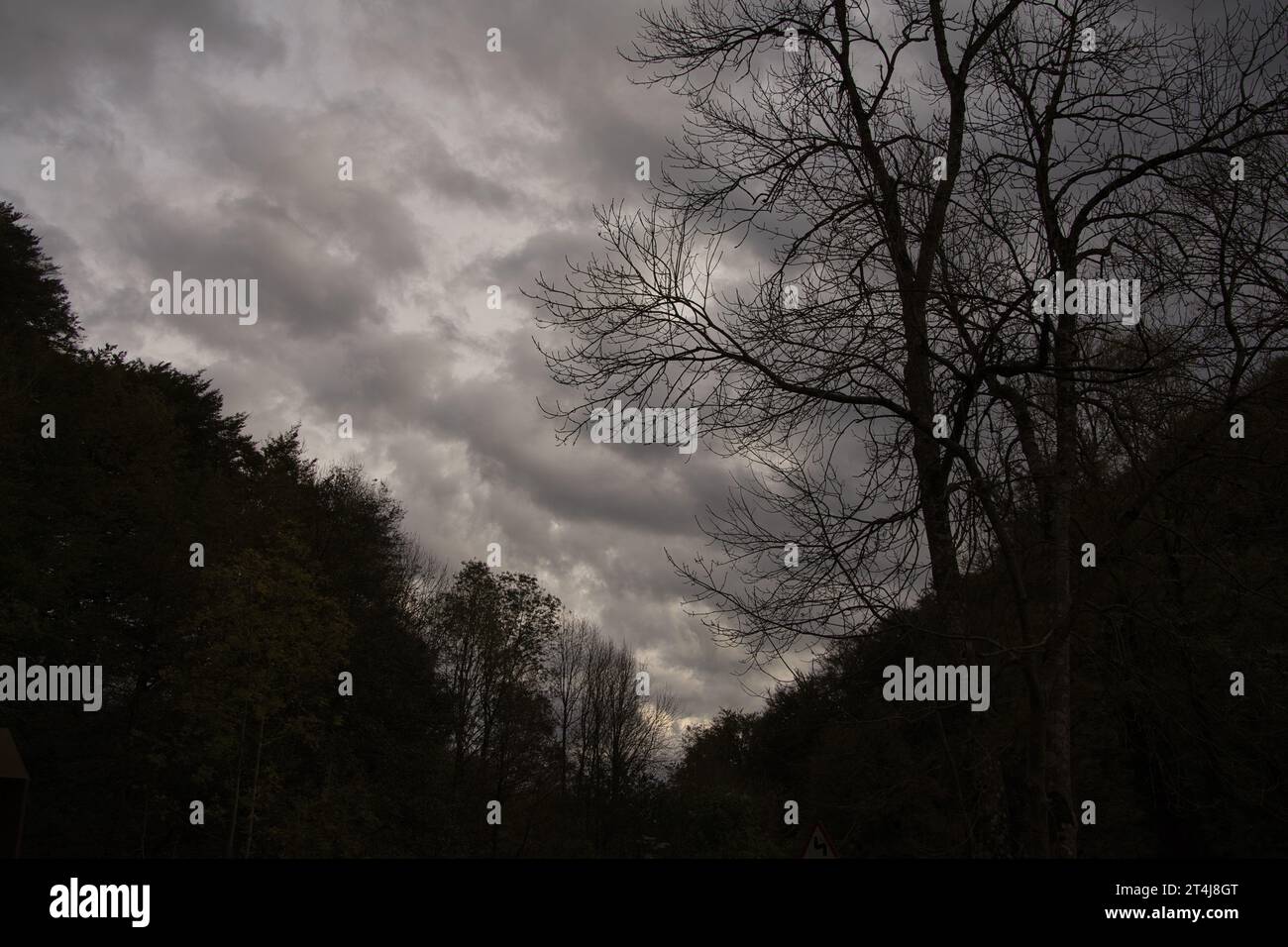 Mysterious background hi-res stock photography and images - Alamy