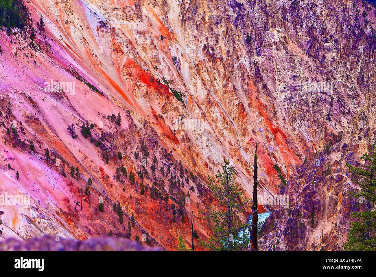 Canyon Along Yellowstone River at Yellowstone National Park in South ...