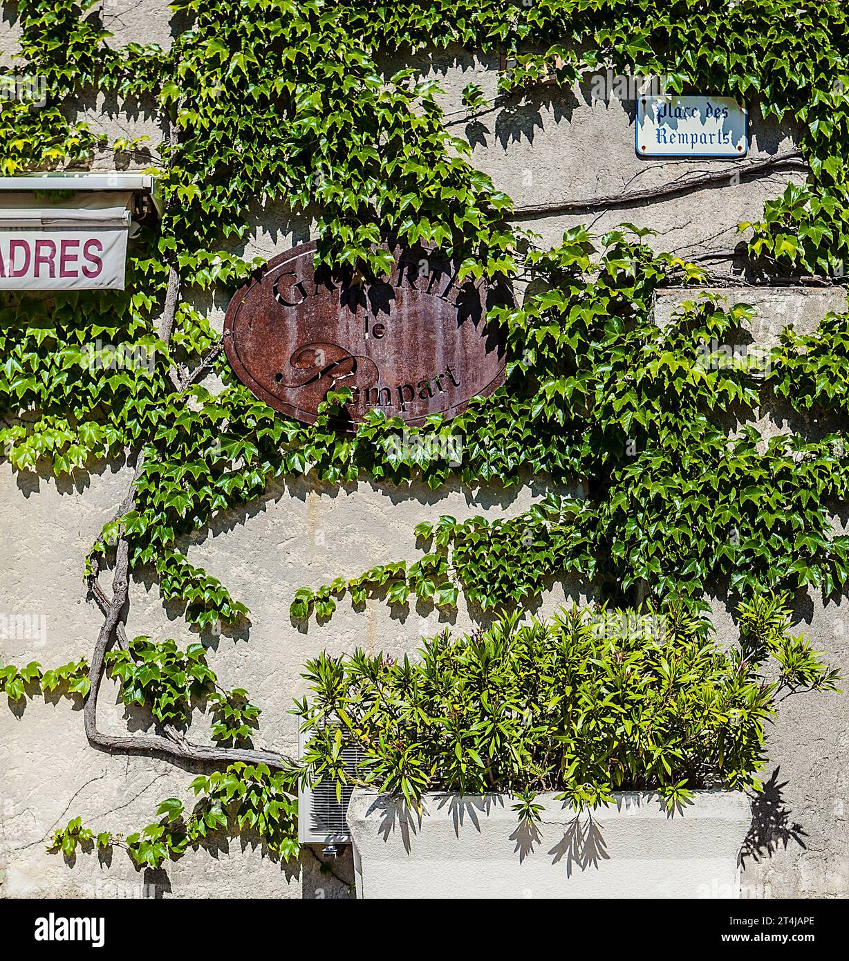 Mediterranean greenery hi-res stock photography and images - Alamy