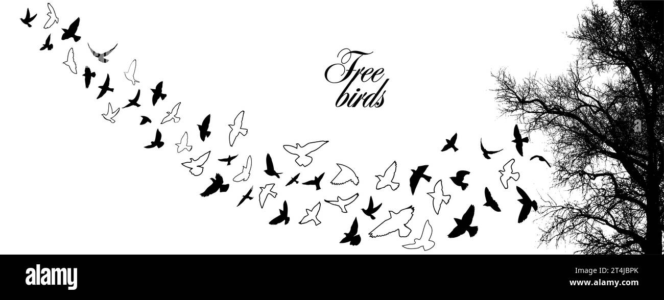 Silhouette of birds flying from the trees. Vector illustration. Art ...