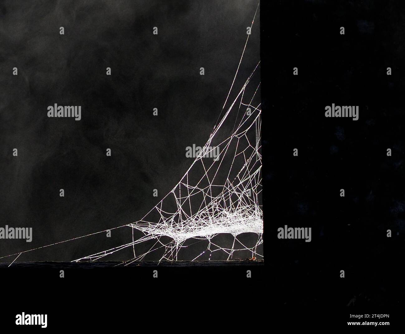 Black-and-white artistic picture of spiders web on a concrete fence ...