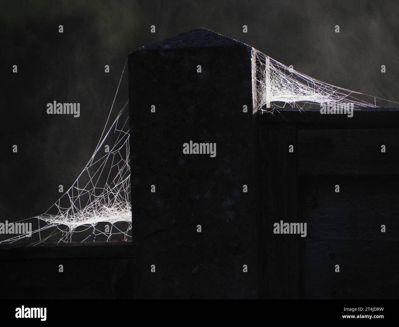 Black white picture concrete hi-res stock photography and images - Alamy