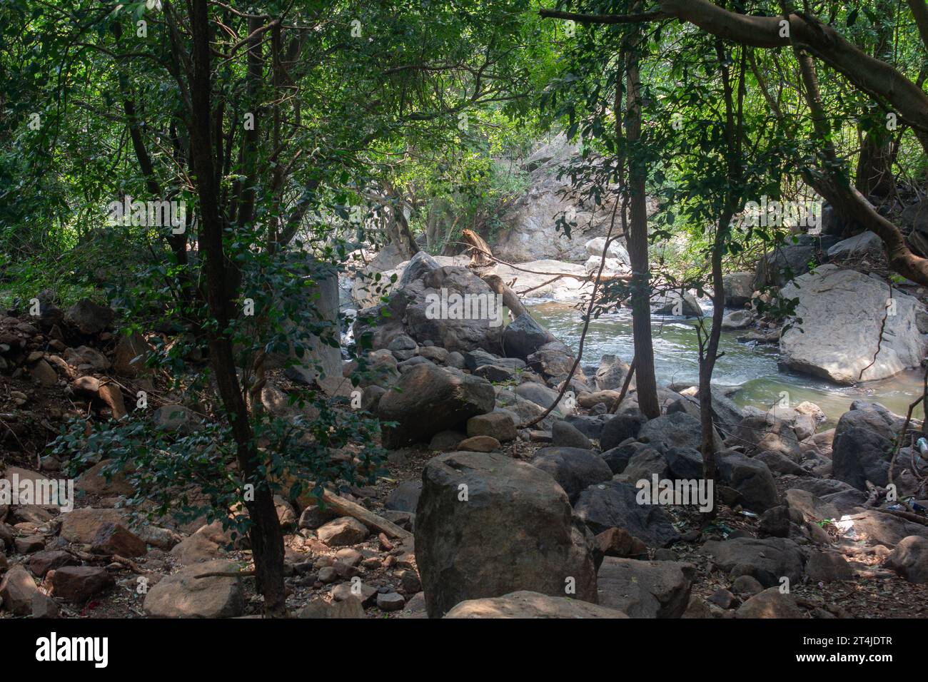 Stream of the Aanaivaari Muttal Waterfalls located in Kalvarayan Hills ...
