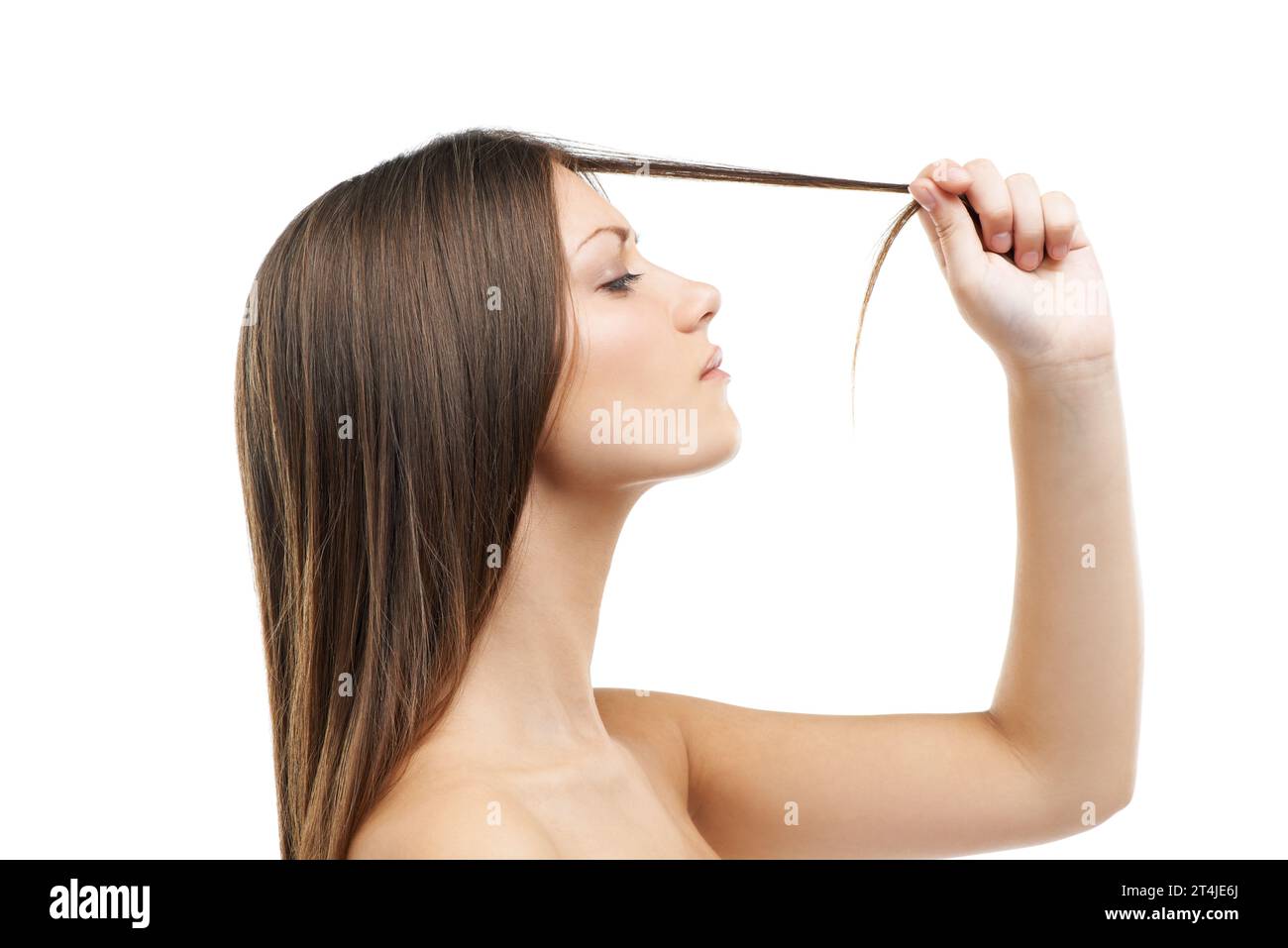 Woman, hand and hair for split end in studio for damage in mock up on ...