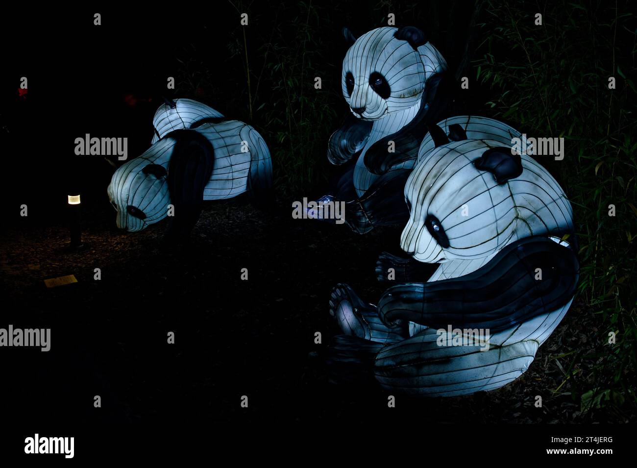 Light sculpture of pandas, at the light gardens in Montreal's botanical ...