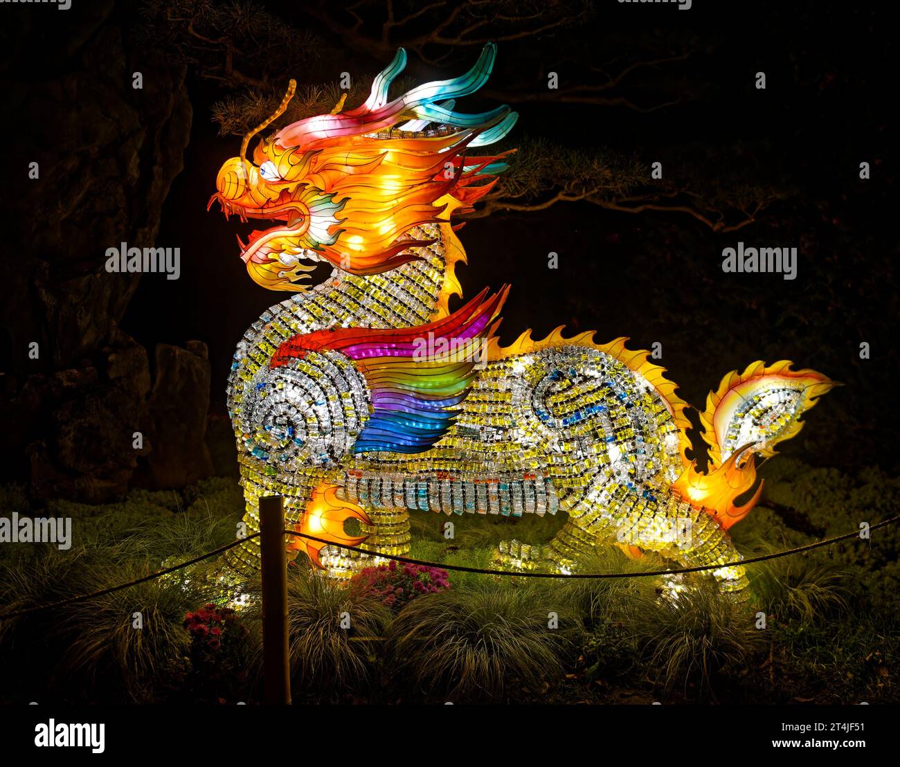 Light sculpture of a dragon, at the light gardens in Montreal's ...