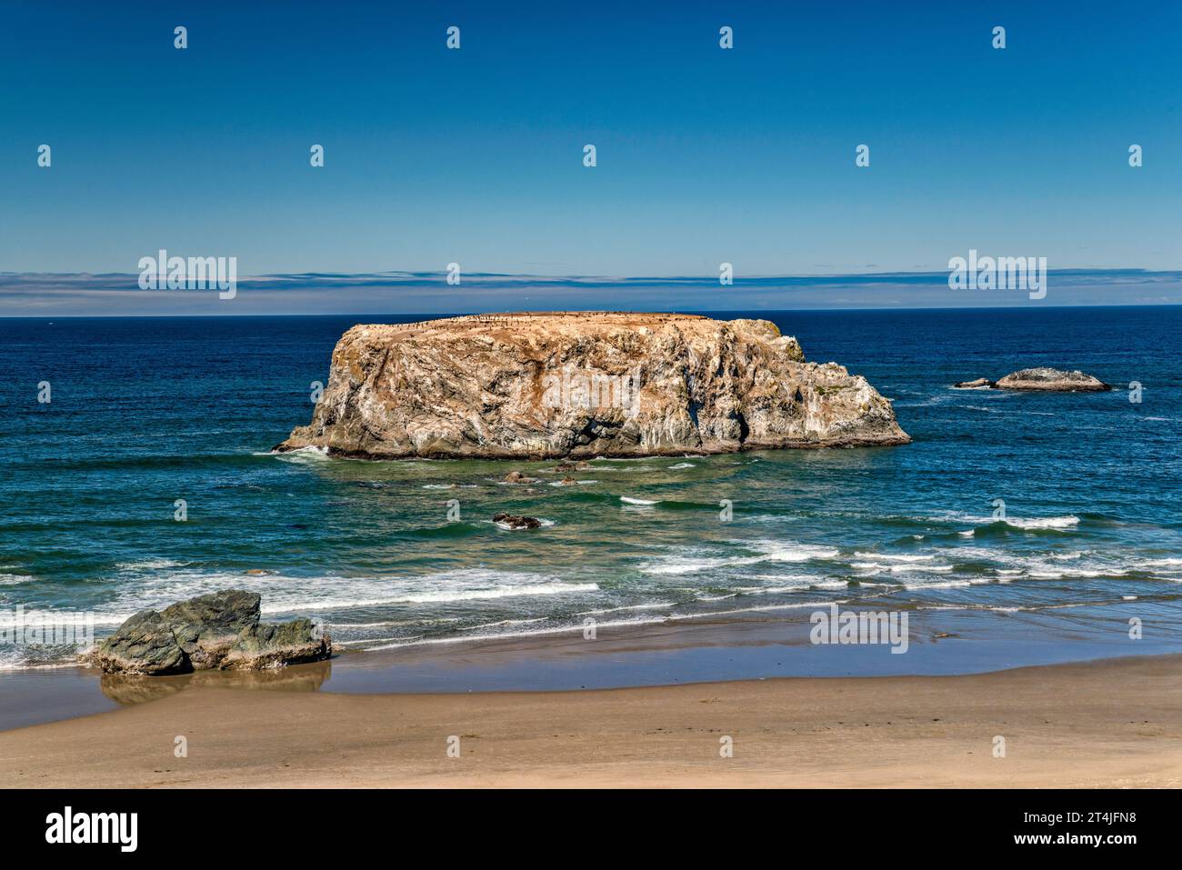 Table Rock, Bandon Beach, hundreds of birds on top, Oregon Islands ...