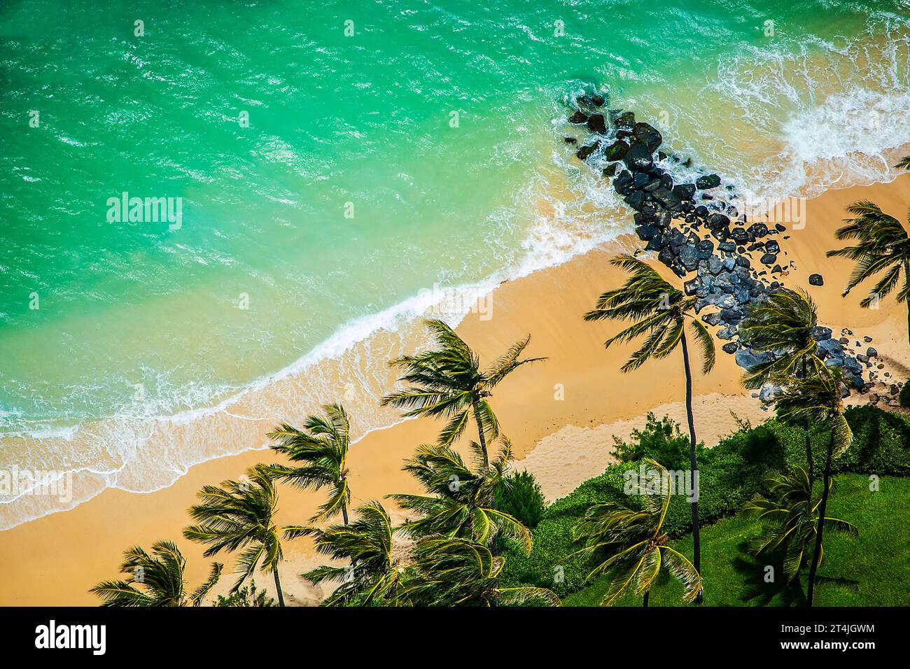 Endless summer vibes vibrant hi-res stock photography and images - Alamy