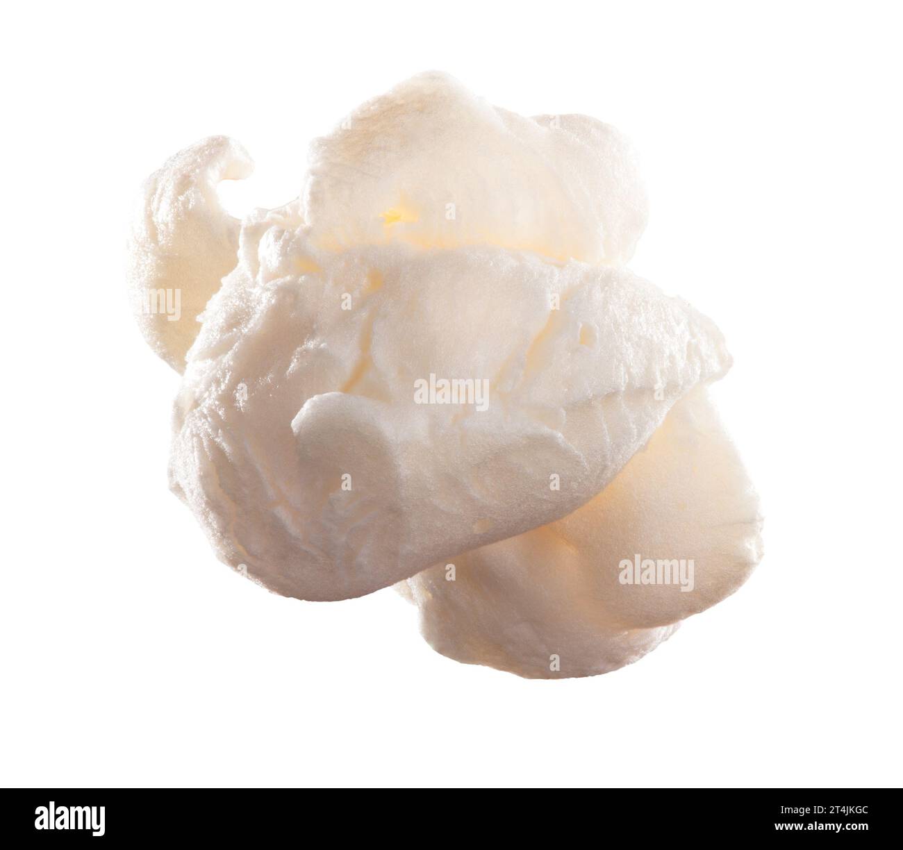 Ready to pop. a popped piece of popcorn against a studio background ...