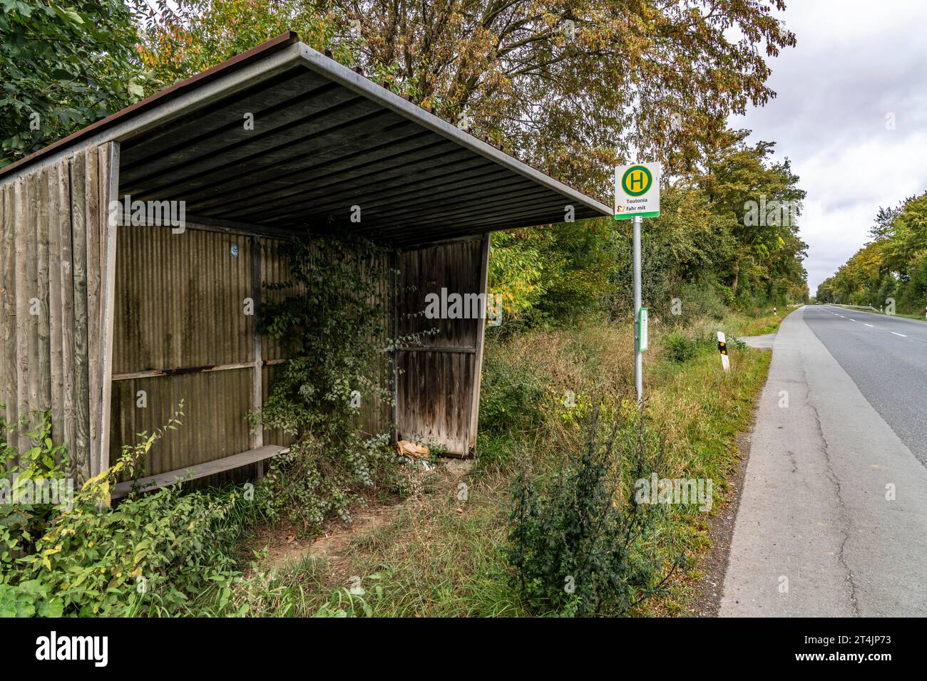 Bus stop in the countryside, on the L828, on Eggestraße, neglected bus ...