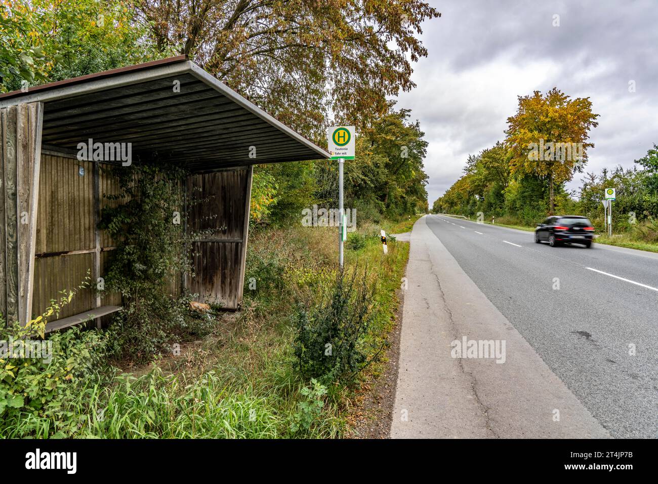 Bus stop in the countryside, on the L828, on Eggestraße, neglected bus ...