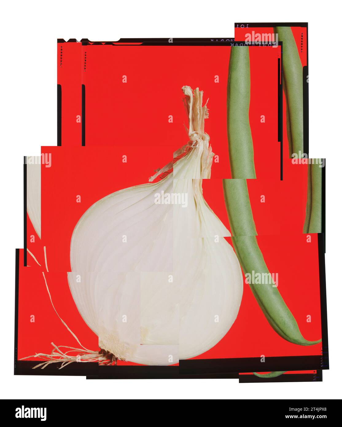 Vegetable collage using cut large format film pieces Stock Photo - Alamy