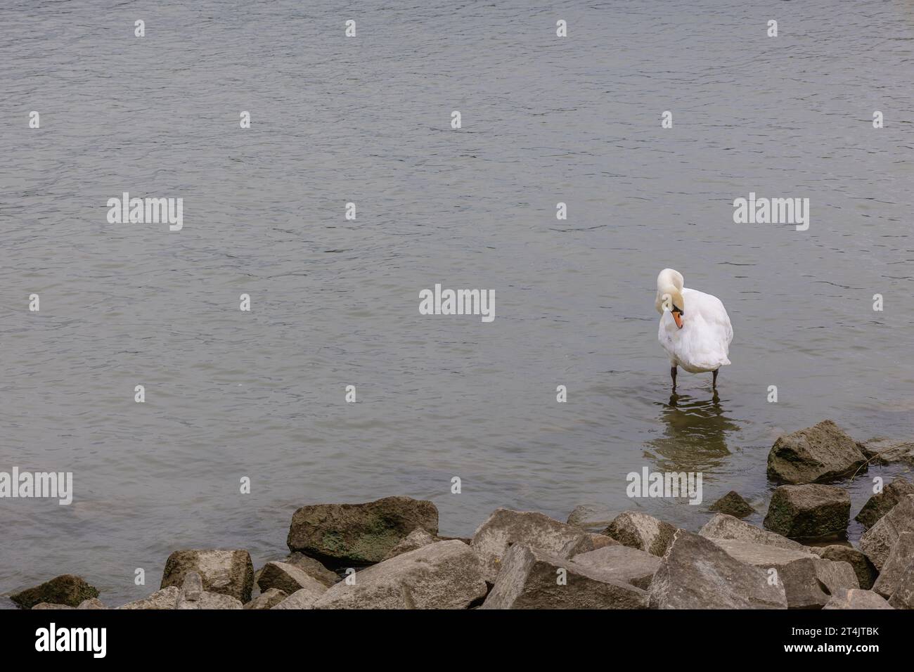 Panoramic view of Passau. Confluence of three rivers Danube, Inn, Ilz ...