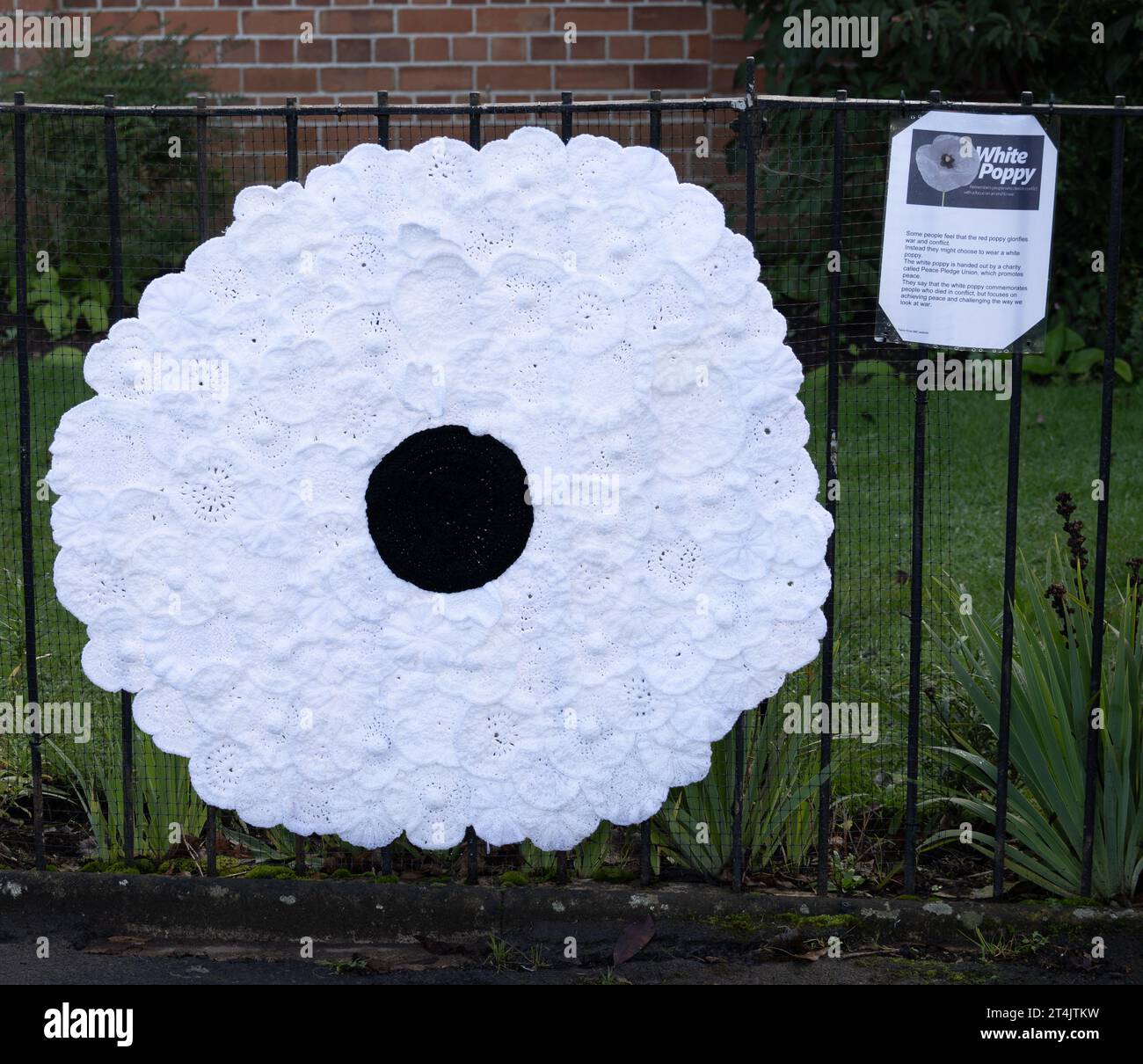 Display of knitted poppies hi-res stock photography and images - Alamy