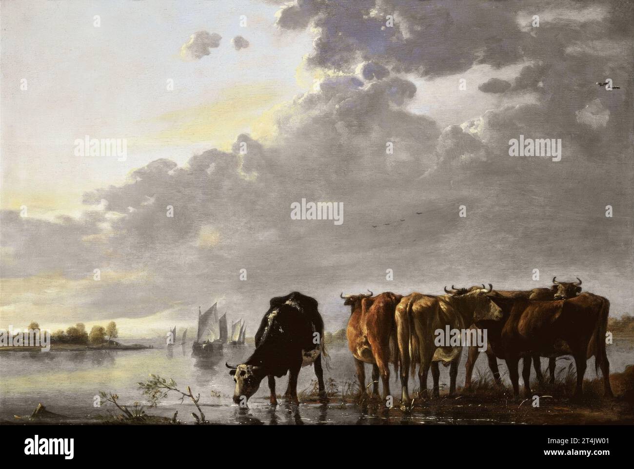 Aelbert Cuyp – cows 1650, 36x55, City Hall London Stock Photo - Alamy