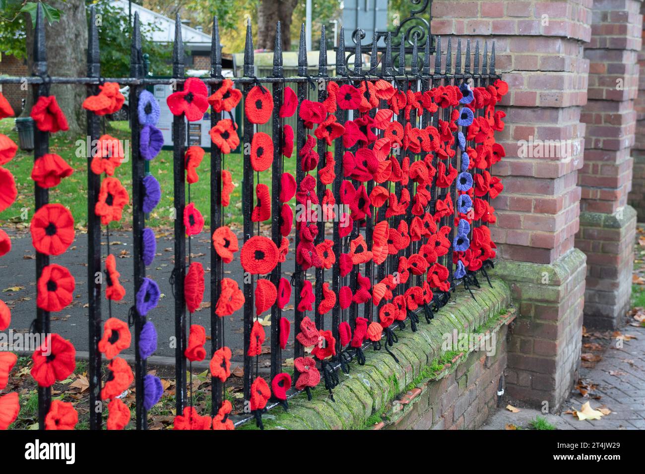 Marlow, UK. 31st October, 2023. The Marlow Poppy Display Group of local ...