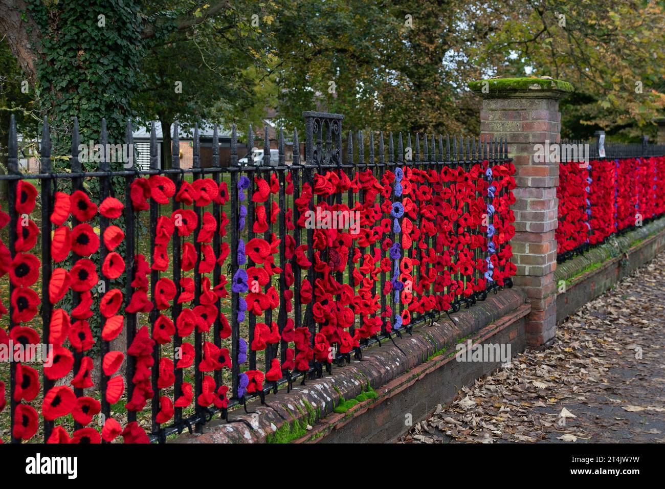 Marlow, UK. 31st October, 2023. The Marlow Poppy Display Group of local ...