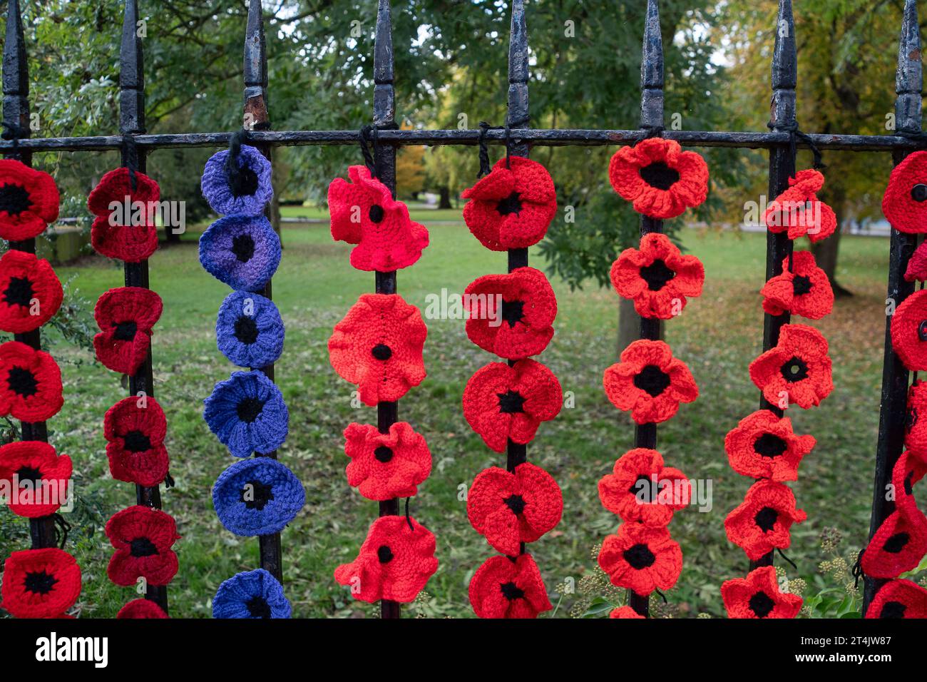 Marlow, UK. 31st October, 2023. The Marlow Poppy Display Group of local ...
