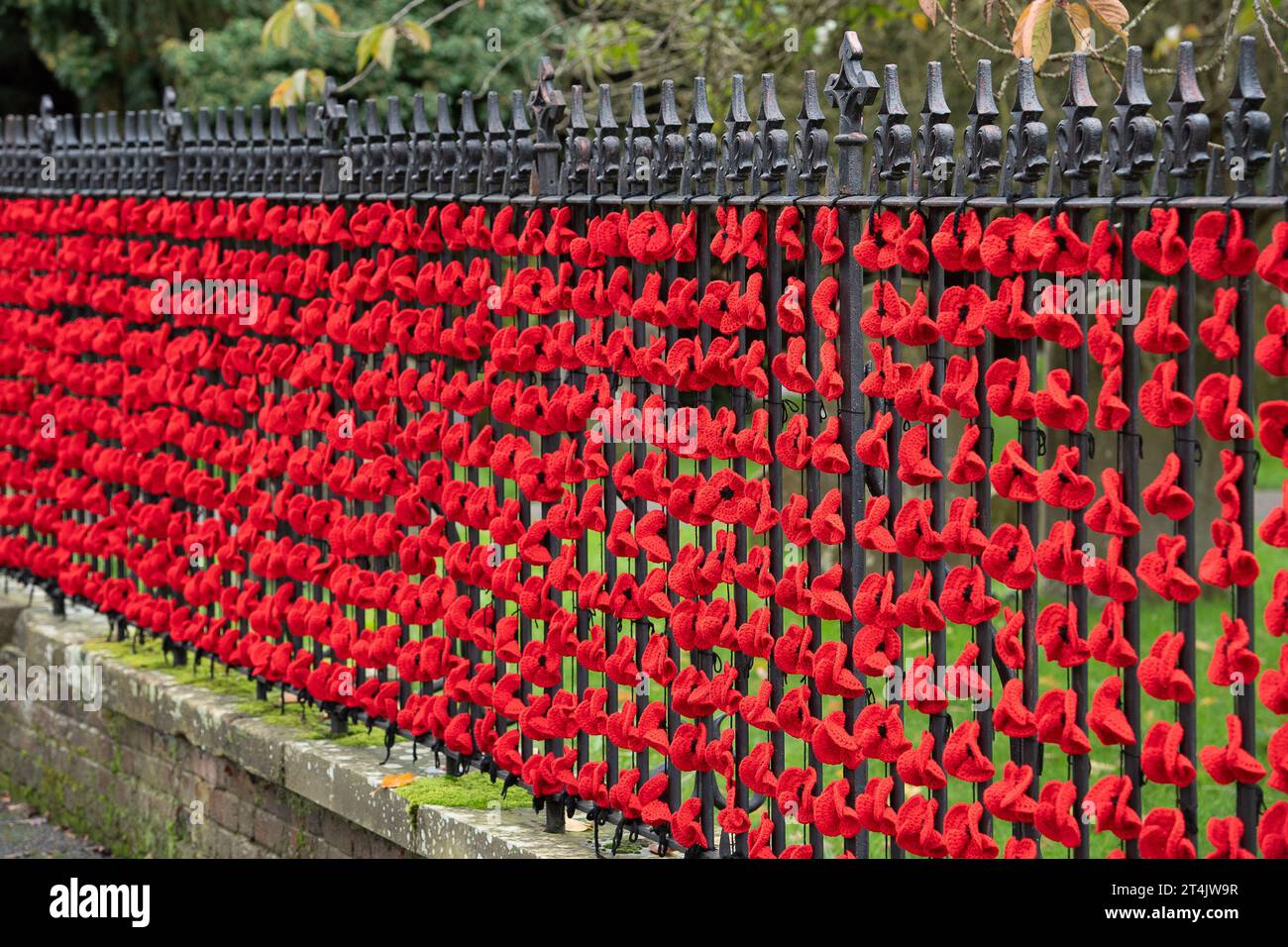 Poppy appeal 2020 october hi-res stock photography and images - Alamy
