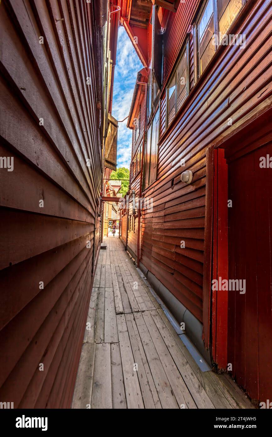 Small narrow walk between wooden and colorful houses in the Norwegian ...
