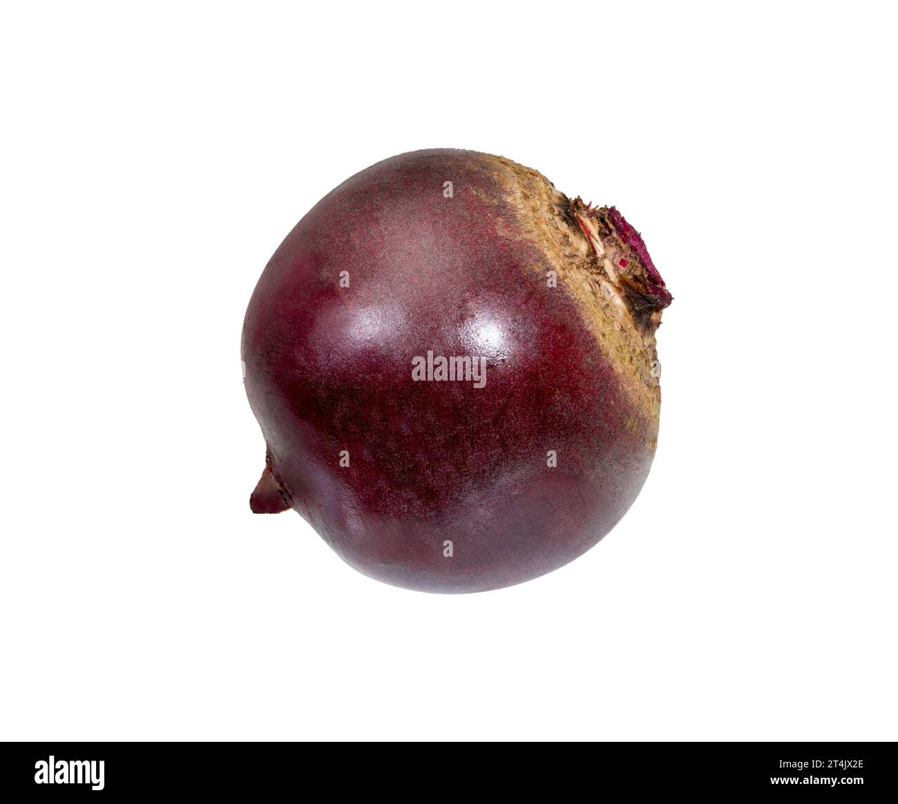 Beetroot (beet root). Whole beet root isolated on white Stock Photo - Alamy