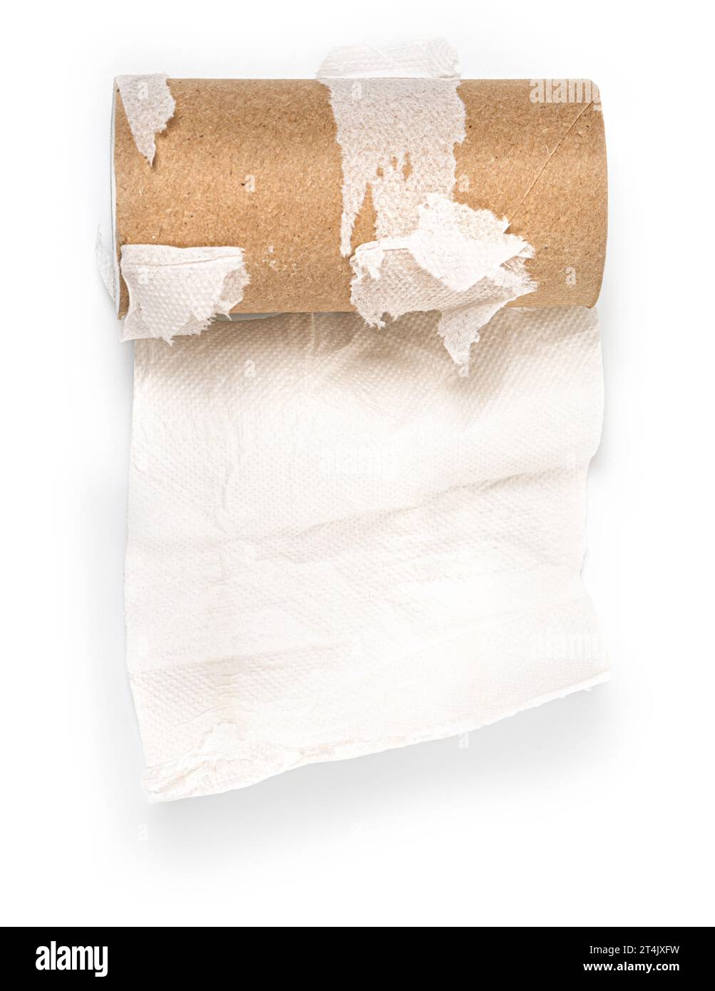Empty toilet paper roll hi-res stock photography and images - Alamy