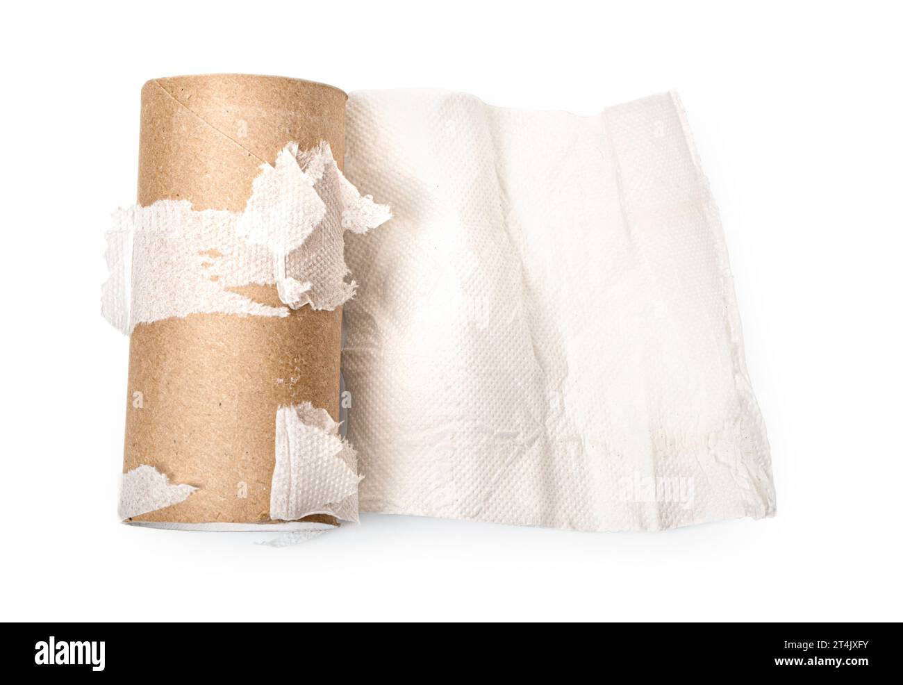 Empty Toilet Paper Roll on White Background Stock Photo - Alamy