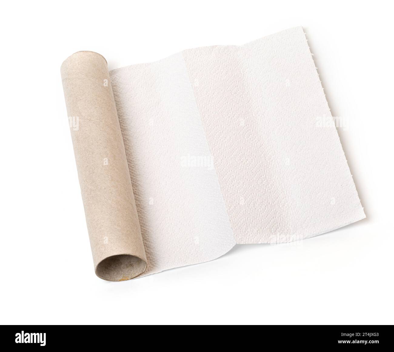 Empty Toilet Paper Roll on White Background Stock Photo - Alamy