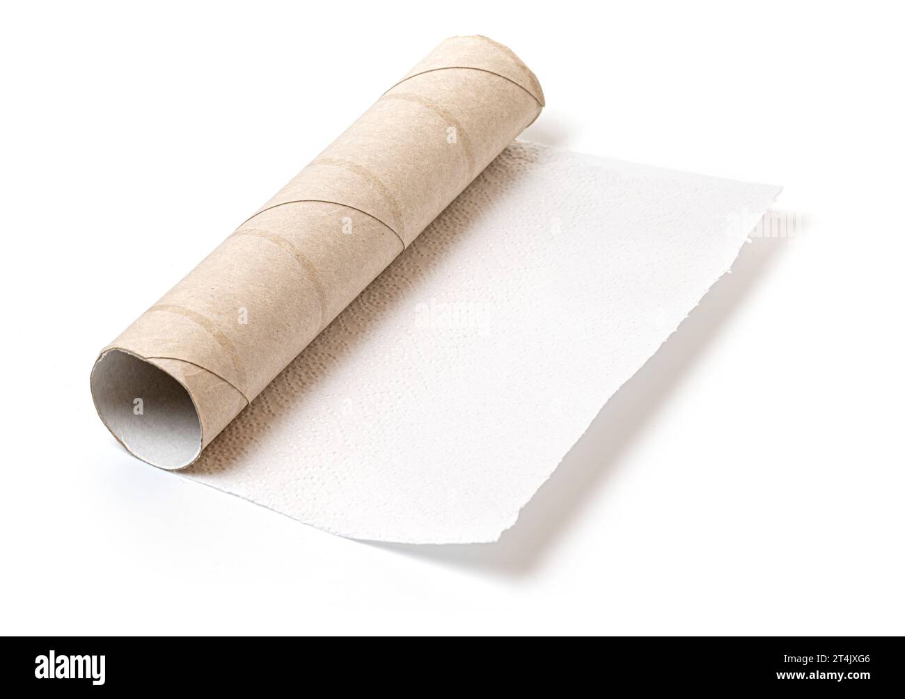 Empty Toilet Paper Roll on White Background Stock Photo - Alamy
