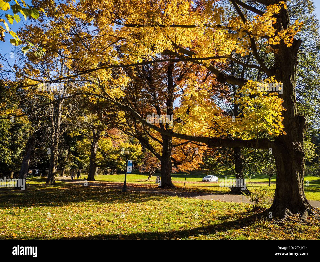 The Lyndhurst Mansion Estate in the Fall Stock Photo - Alamy