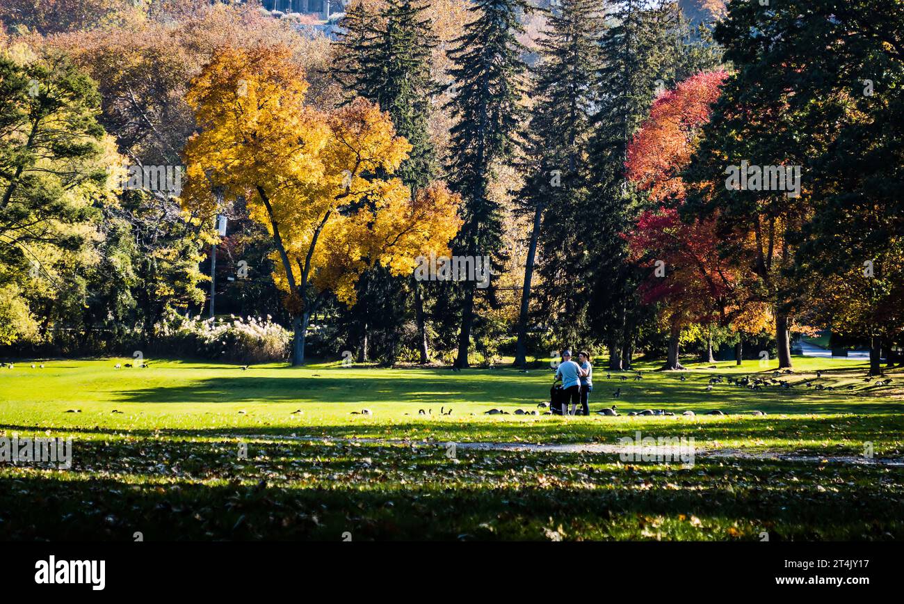 The Lyndhurst Mansion Estate in the Fall Stock Photo - Alamy