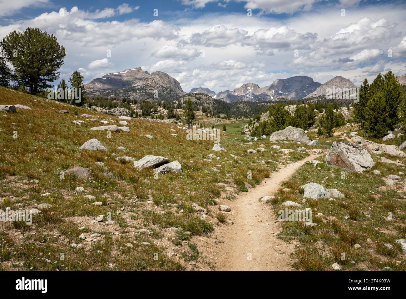 WY05512-00...WYOMING - Shadow Lake Trail in the Bridger Wilderness area ...