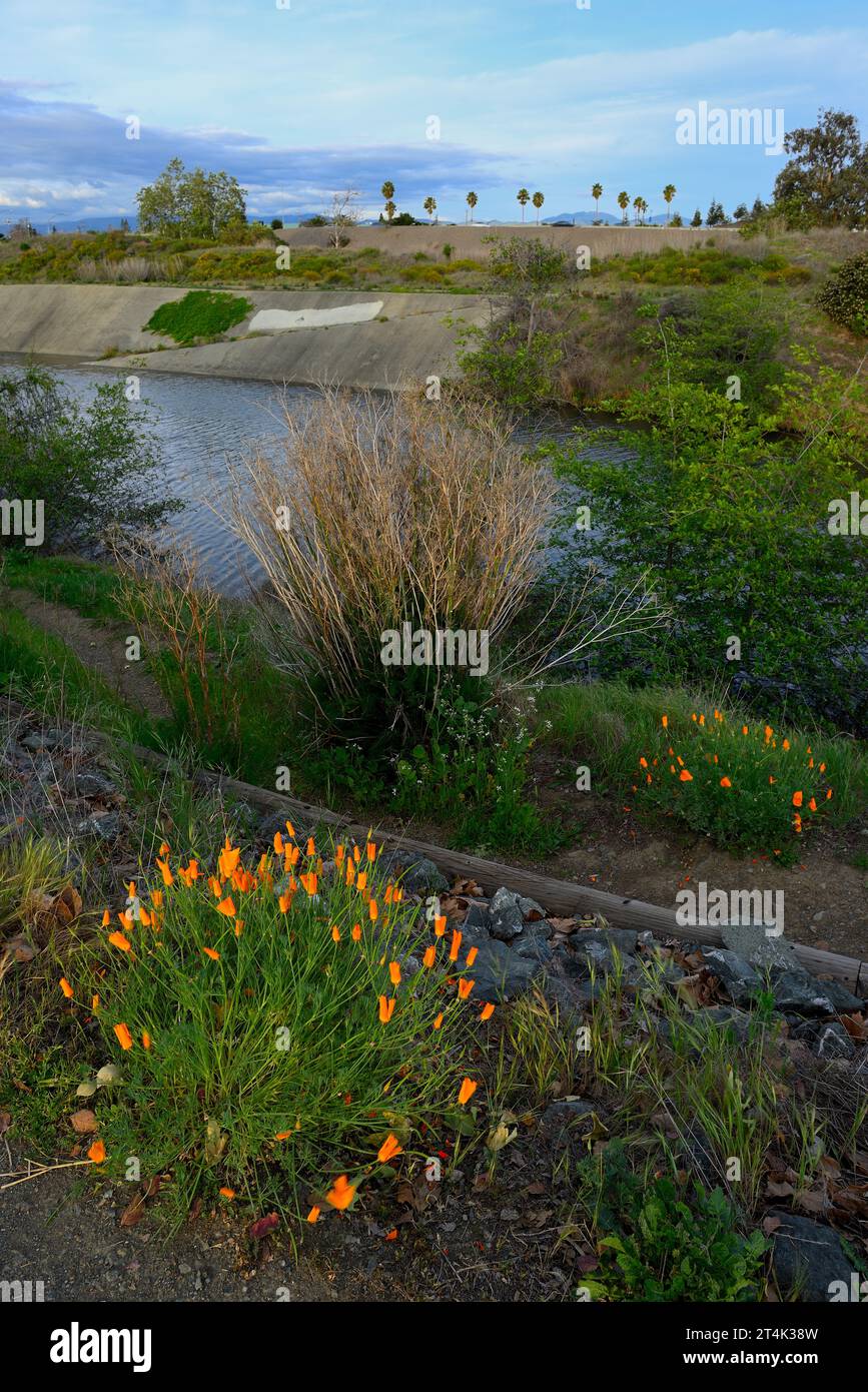 The Vasona Lake County Park and Reservoir, Los Gatos CA Stock Photo - Alamy