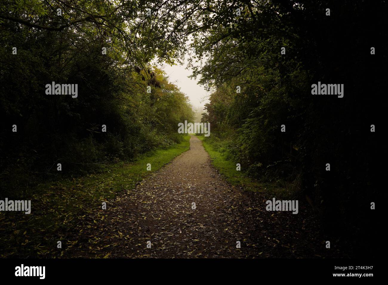 The road less traveled Stock Photo - Alamy