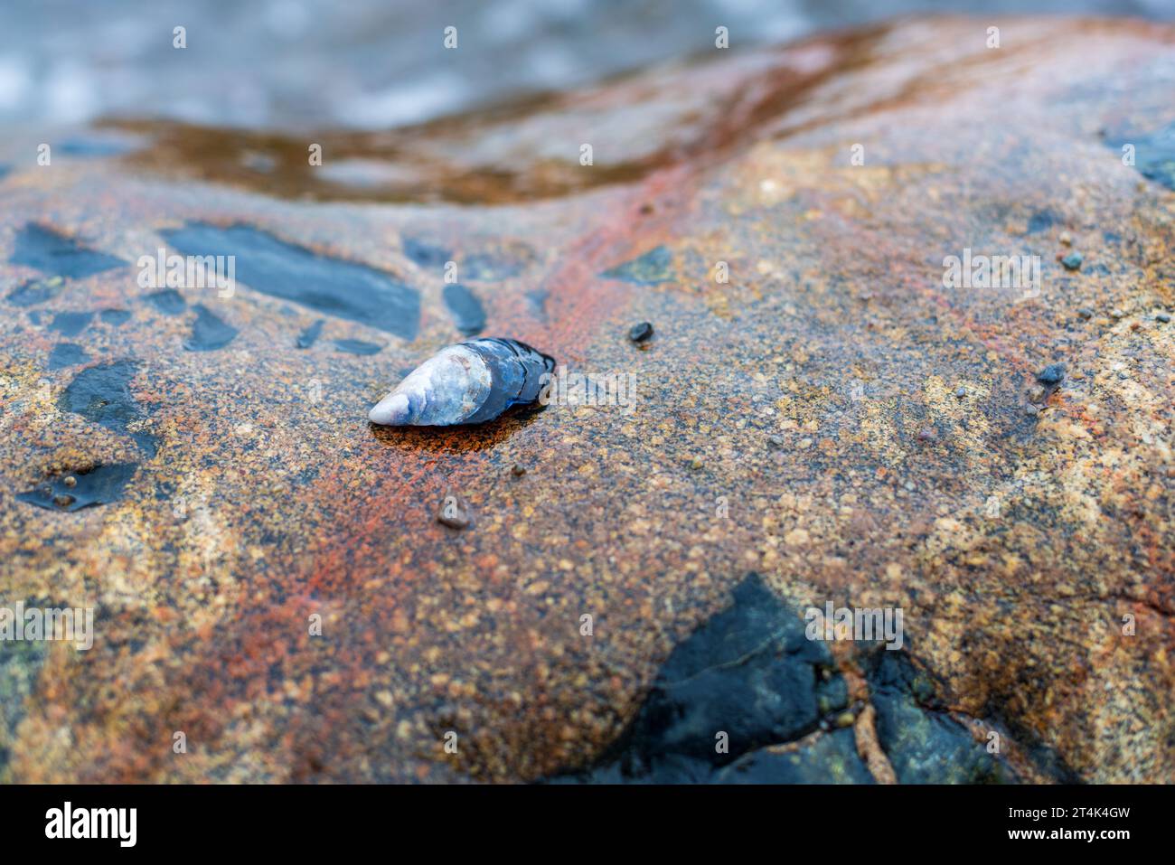 Shell rock river hi-res stock photography and images - Alamy