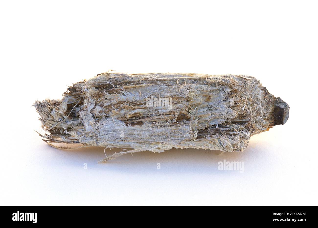 Asbestos is a group of fibrous silicates with industrial interest ...