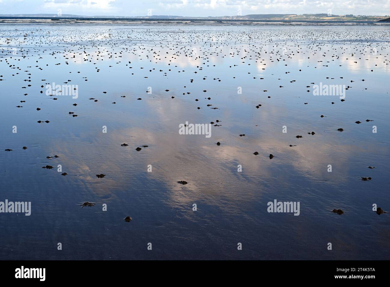 Feces of black worms (lugworms) by thousands on the Sainte Anne la ...